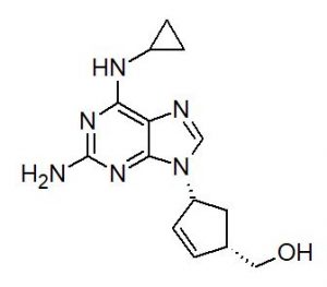 General APIs – CDYMAX